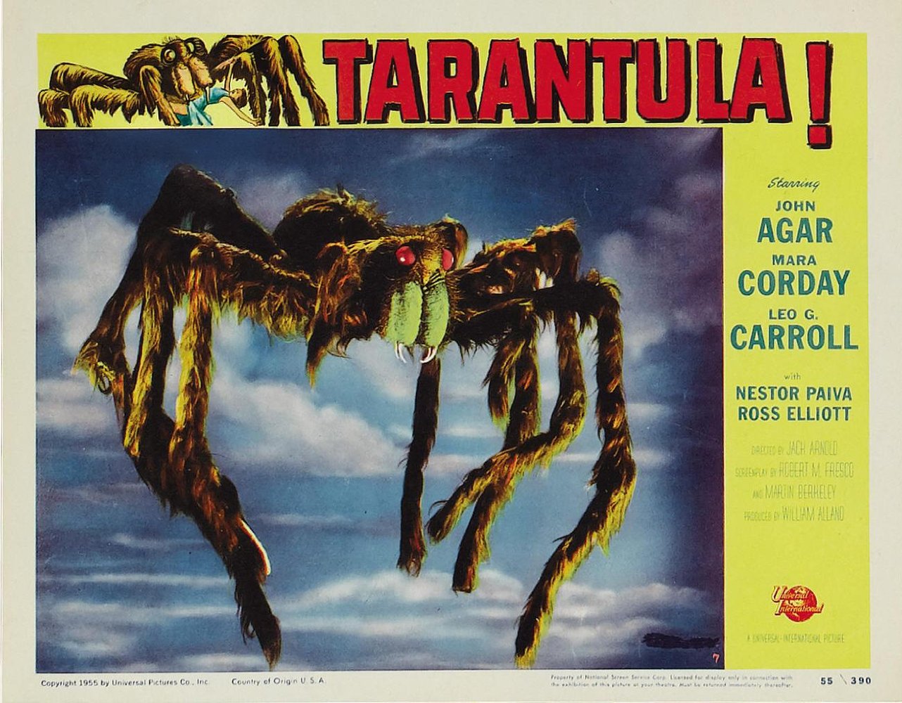 Tarantula